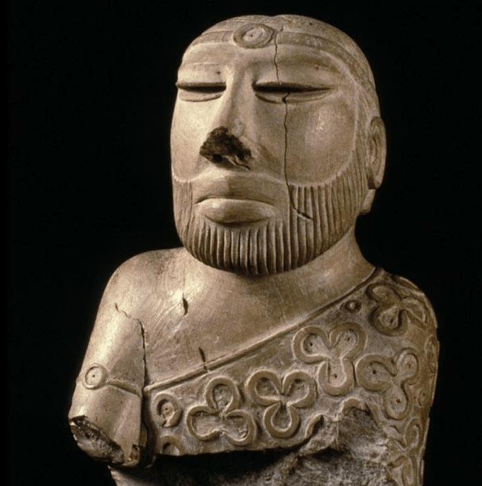 MOHENJO DARO | Toison d'Or